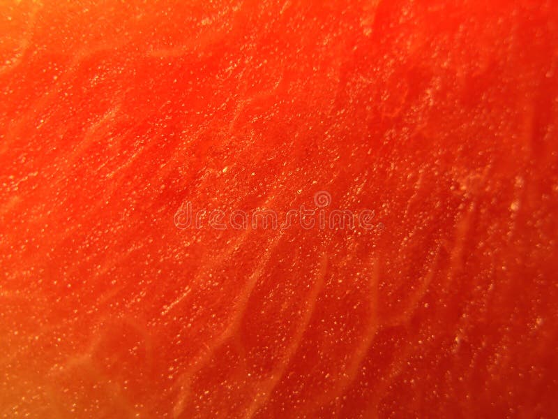 Watermelon texture stock photo. Image of macro, july, vine - 1822286