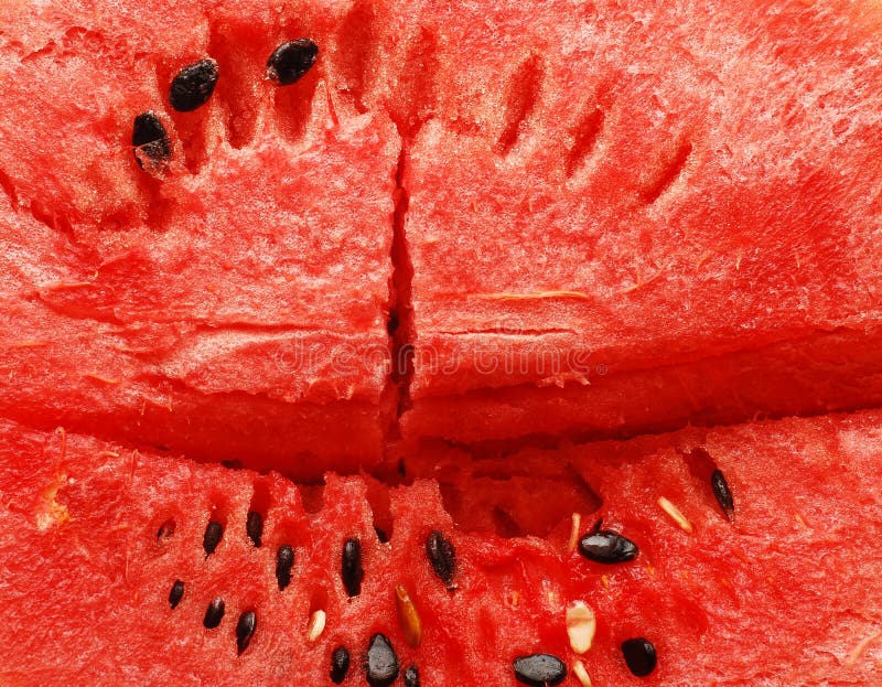 Watermelon texture stock image. Image of fresh, ripe - 20336267