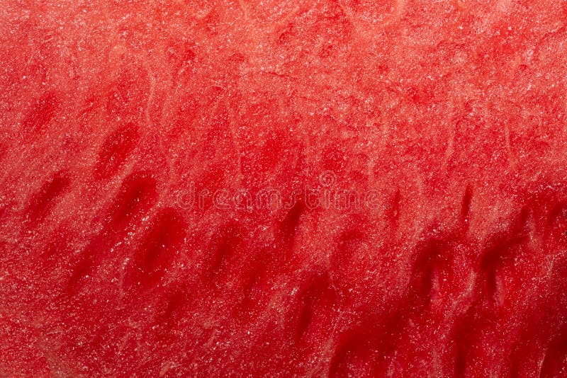 Watermelon Texture Abstract Background. Macro Watermelon Texture Stock ...