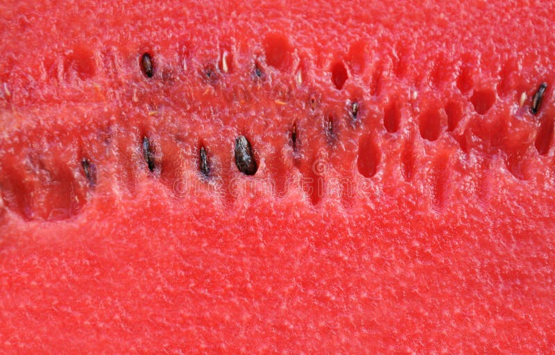 Watermelon texture stock photo. Image of natural, juicy - 73045610