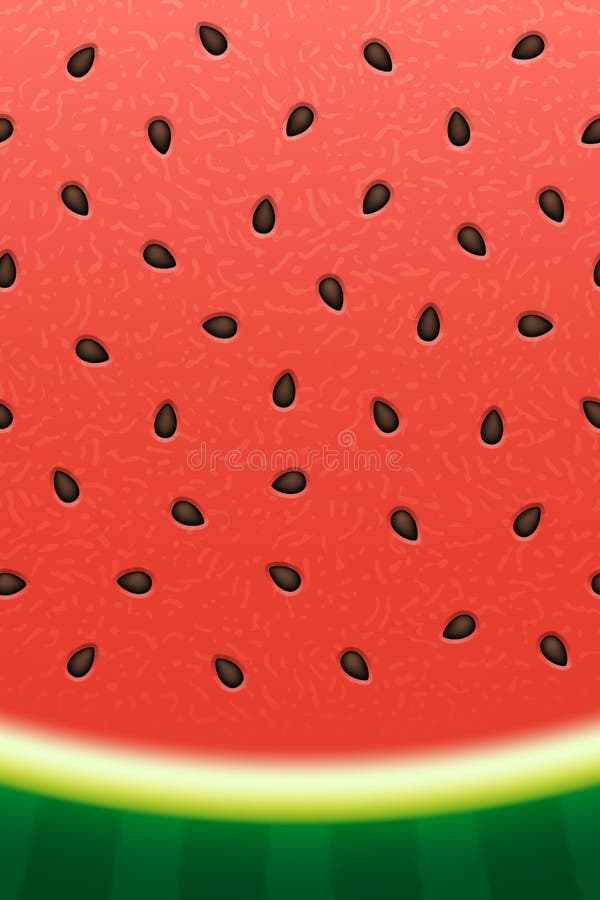 Watermelon Skin Texture Background. Stock Vector - Illustration of ...