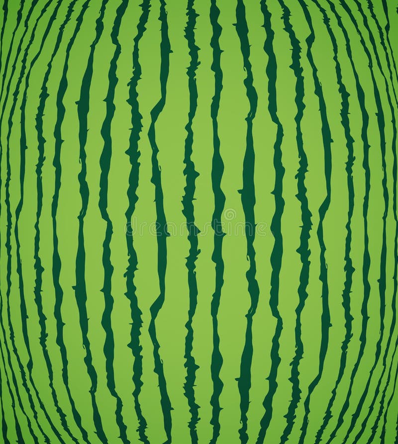 Watermelon Skin Texture Map