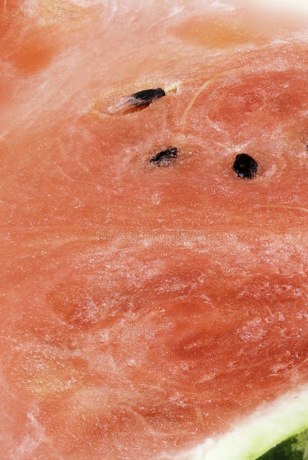 Watermelon texture stock image. Image of background - 156027609