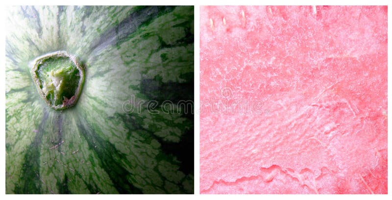Watermelon texture stock photo. Image of food, drink - 53939530
