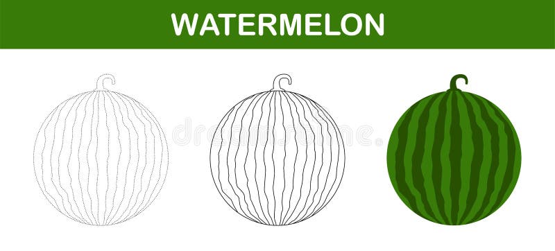 Watermelon Tracing and Coloring Worksheet for Kids Stock Vector ...