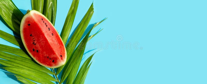 Watermelon on Tropical Palm Leaves on Blue Background. Summer ...