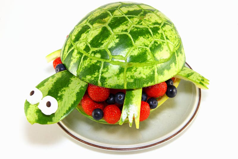 Watermelon turtle stock image. Image of fruit, funny - 47105691