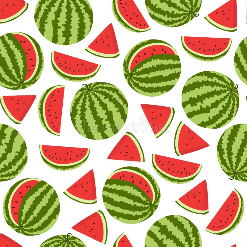 Watermelon vector pattern. stock vector. Illustration of round - 144278389