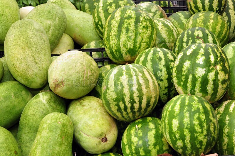 Watermelons stock photo. Image of food, full, foodstuff - 26625888