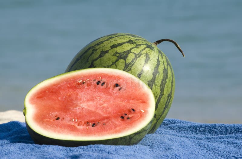Watermelons on a beach stock image. Image of nature, color - 15471953