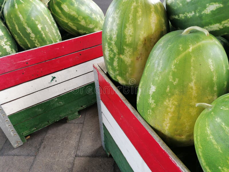 Watermelons in Crates Colored with Colors of Italy. Summer Fruit Stock ...