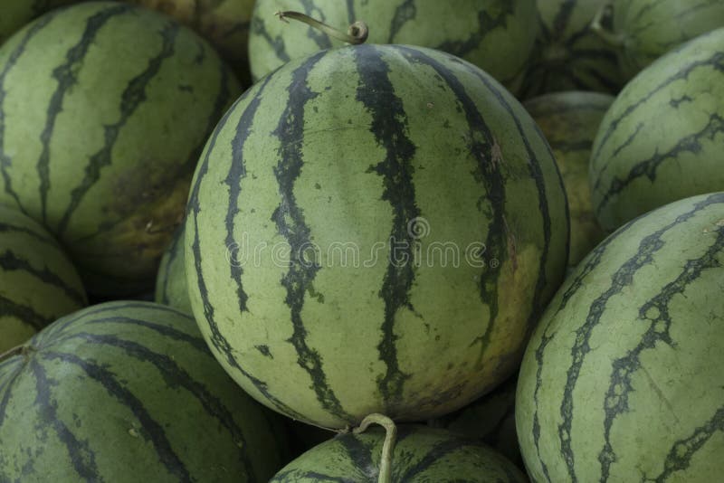 Watermelons. stock image. Image of watermelons, delicious - 80139533