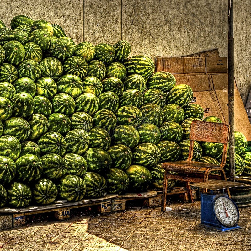 Watermelons at the market stock photo. Image of vegetable - 125699528