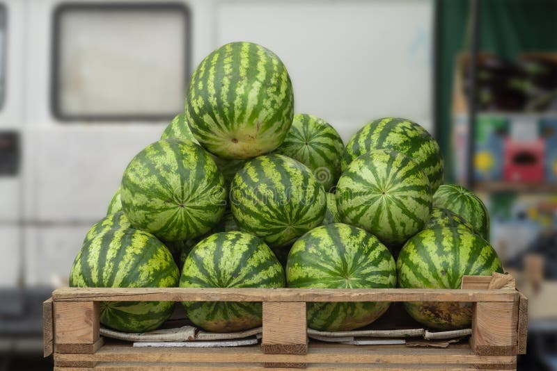 Watermelons on a Pallet at the Bazaar on the Street Trade, Close-up ...
