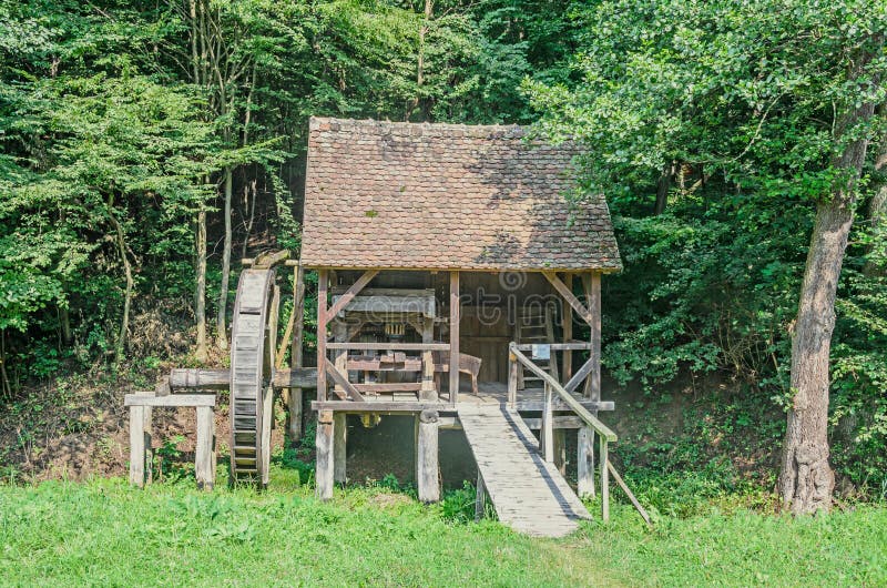 Watermill Close Up, Green Forest, Wild Vegetation Stock Image - Image ...
