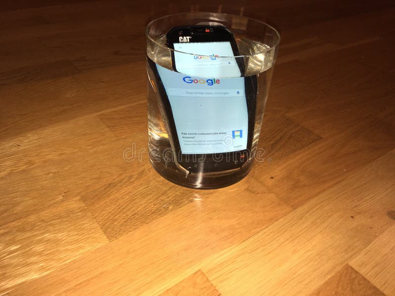 Cat S70 Stock Photos - Free & Royalty-Free Stock Photos from Dreamstime