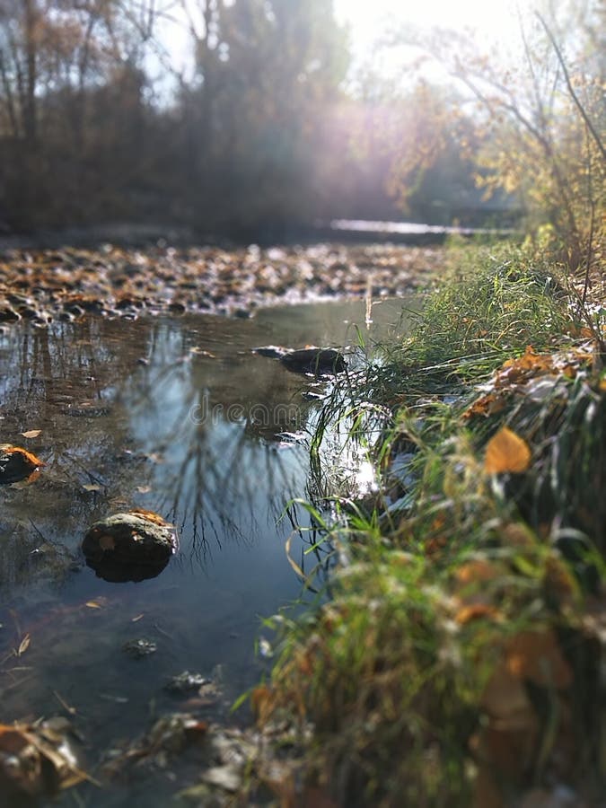Waters edge stock image. Image of crisp, stream, edge - 169541981