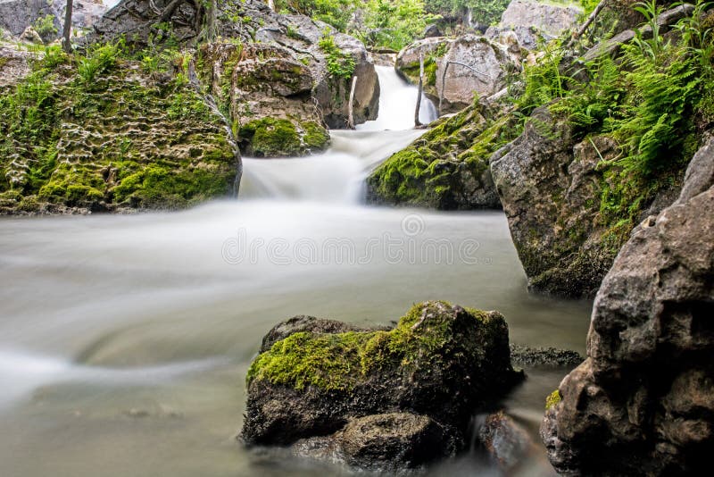 Sydenham River Downstream from Inglis Falls Stock Photo - Image of ...