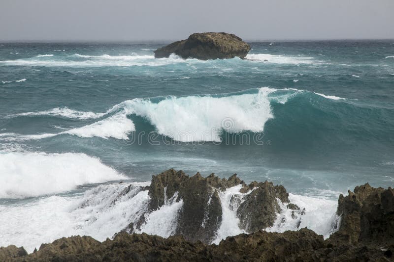 Waterscape Wave 2 stock image. Image of splash, plants - 95518825