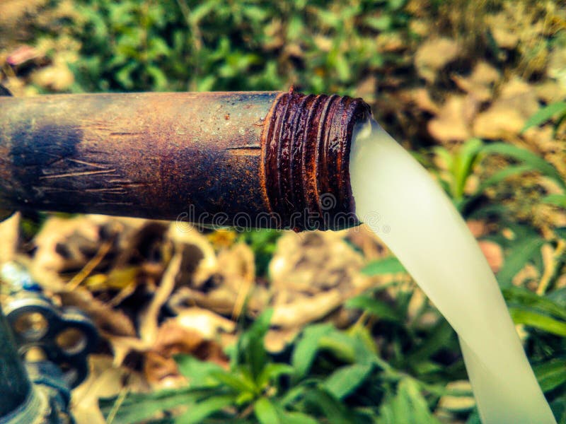 Pitting Pipe Stock Photos - Free & Royalty-Free Stock Photos from ...