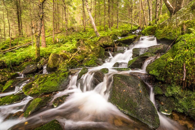 Waterstroom in Een Stroom, Lange Blootstelling Stock Foto - Image of ...