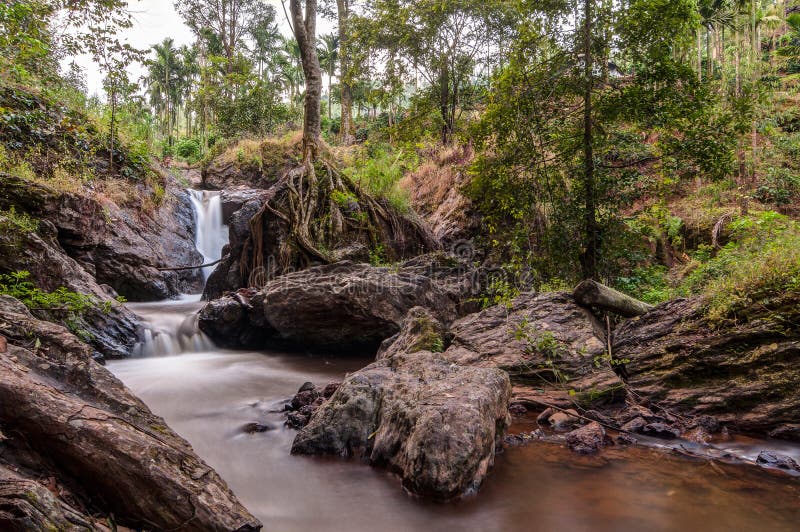Waterstroom in Het Midden Van Bomen Stock Afbeelding - Image of ...