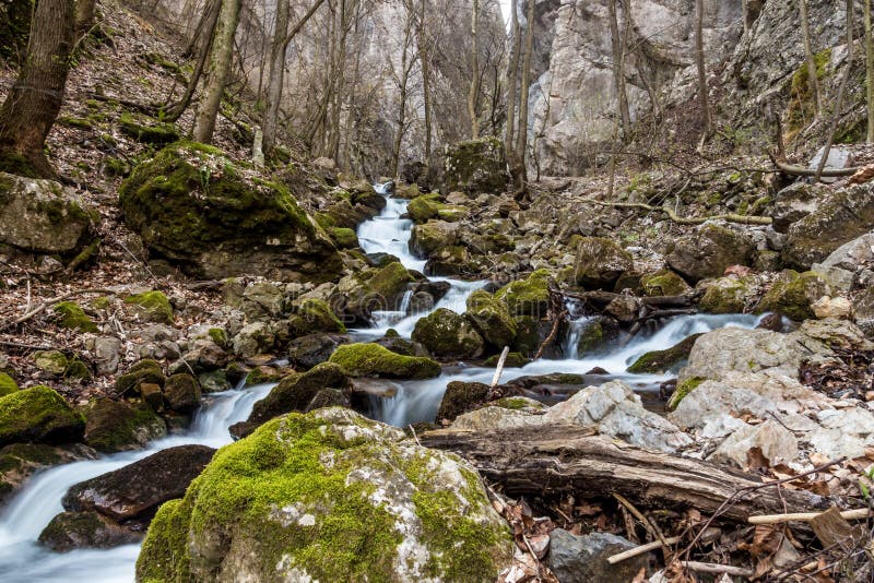 Waterstroom in Zadielska-vallei Stock Afbeelding - Image of stroom ...