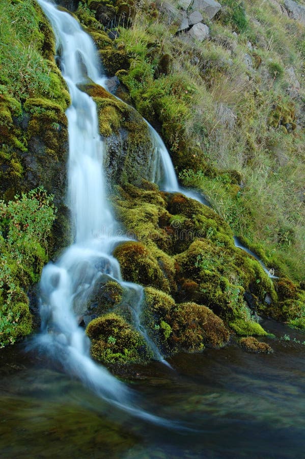 Waterval stock afbeelding. Image of zuiver, gras, waterval - 6130505