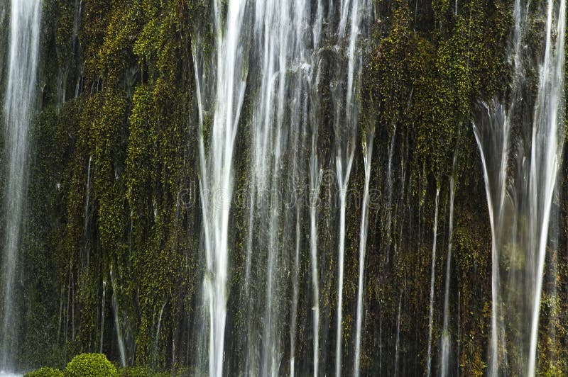 Waterval Japan, Waterfall Japan with Trees and Slow Moving Effect Stock ...