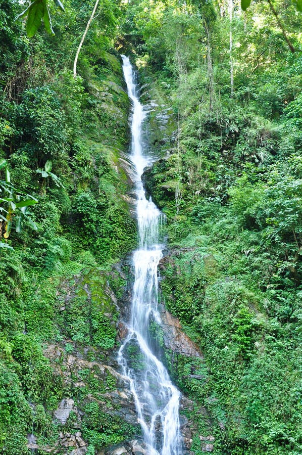 Waterval in Pelling, Sikkim Stock Foto - Image of azië, exotisch: 26269754