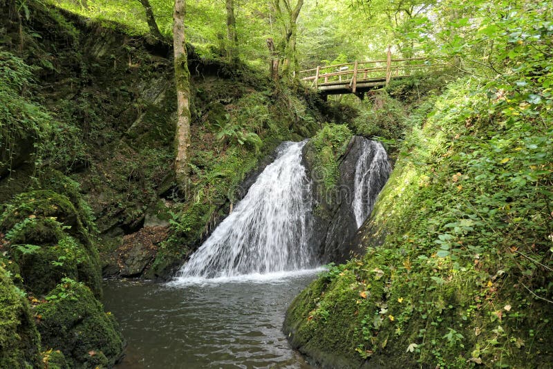 Waterval Wilde Swoosh in Wilde Endertal-vallei in Eifel Regio Stock ...