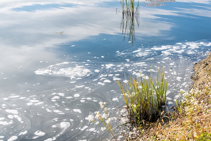 Watervervuiling in Rivier - Het Globale Verwarmen Stock Foto - Image of ...