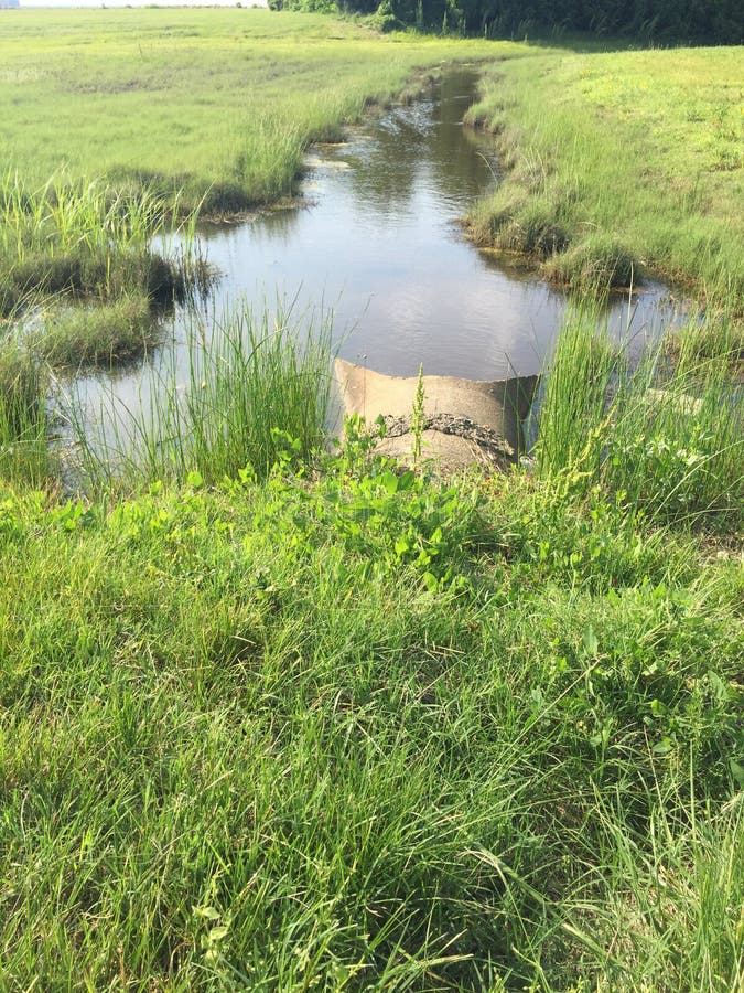 Waterway, Water, Sky, Grass Picture. Image: 111419729