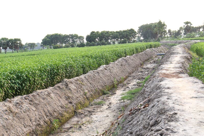 Waterway Channels Earth Canal View on Field Stock Image - Image of ...