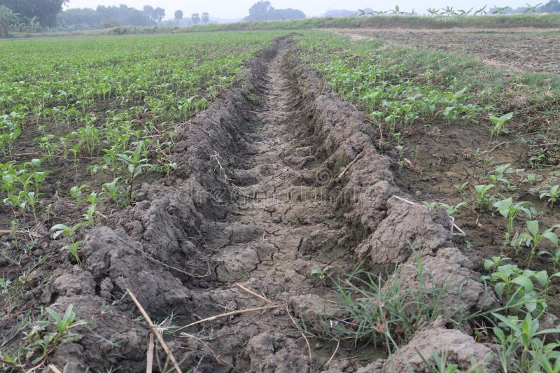 Waterway Channels Earth Canal View on Field Stock Photo - Image of ...