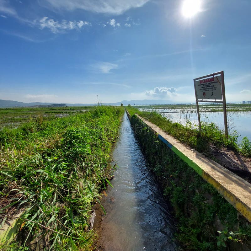 Waterways for Irrigation Originating from Swamps Stock Photo - Image of ...