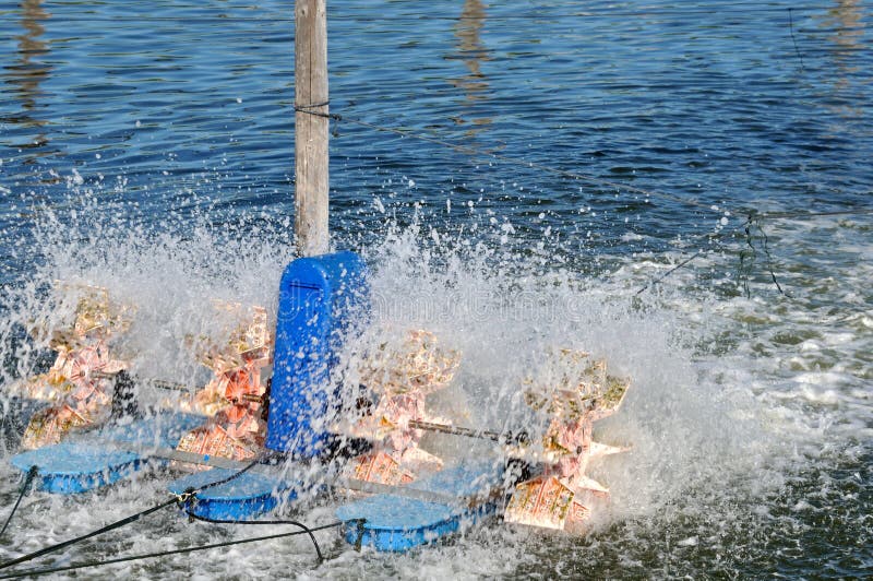 Waterwheel Working in Fishpond Stock Photo - Image of fishing, shape ...
