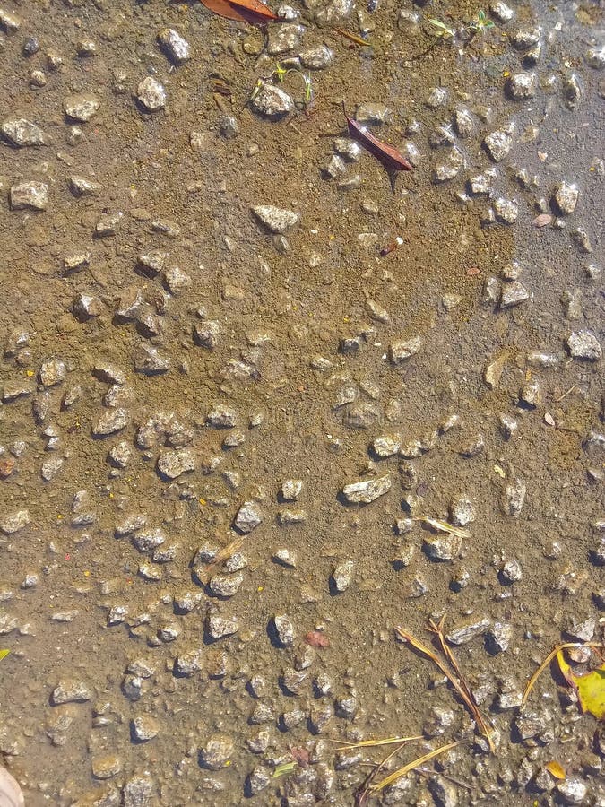 The Watery Asphalt Way after Rain Stock Photo - Image of rainr, asphalt ...