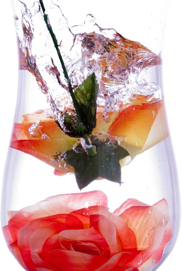 Watery flower10 stock image. Image of nature, white, natural - 28939215