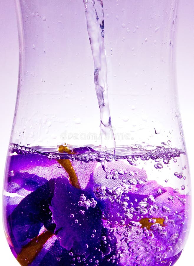 Watery flower21 stock photo. Image of stems, flora, purple - 28939324