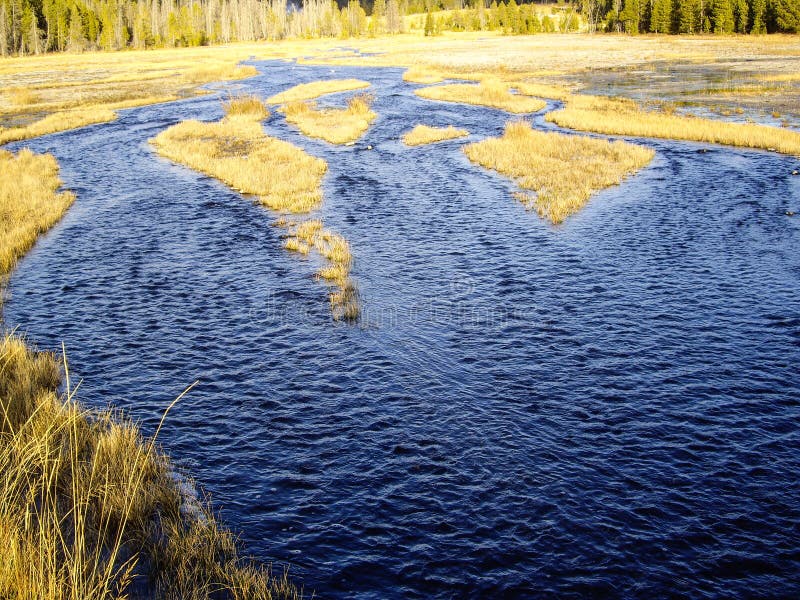 Marsh, Fall Colors: Yellow, Light Green, Golden. Plants, Lake, Pond ...