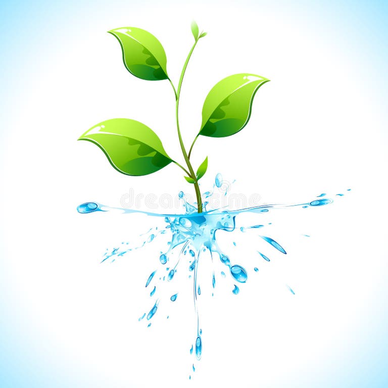 Water Plantation Stock Illustrations – 11,136 Water Plantation Stock ...
