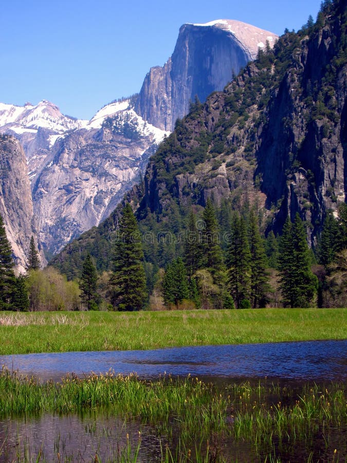 Watery Valley stock image. Image of grass, sierra, trees - 21545911