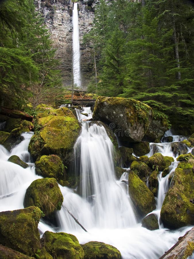 Watson falls stock image. Image of watson, environment - 13325703