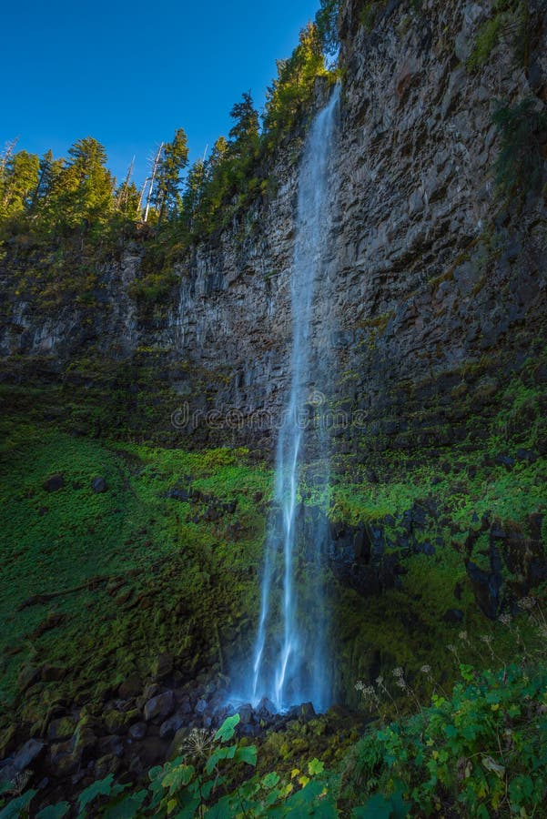 Watson Falls Backpacker in Oregon Stock Photo - Image of forest, creek ...