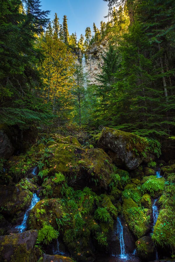 Watson Falls stock image. Image of fresh, northwest, scenic - 82175955