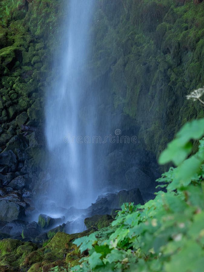 Water Falls Over Basalt Cliff Stock Photo - Image of southern, oregon ...