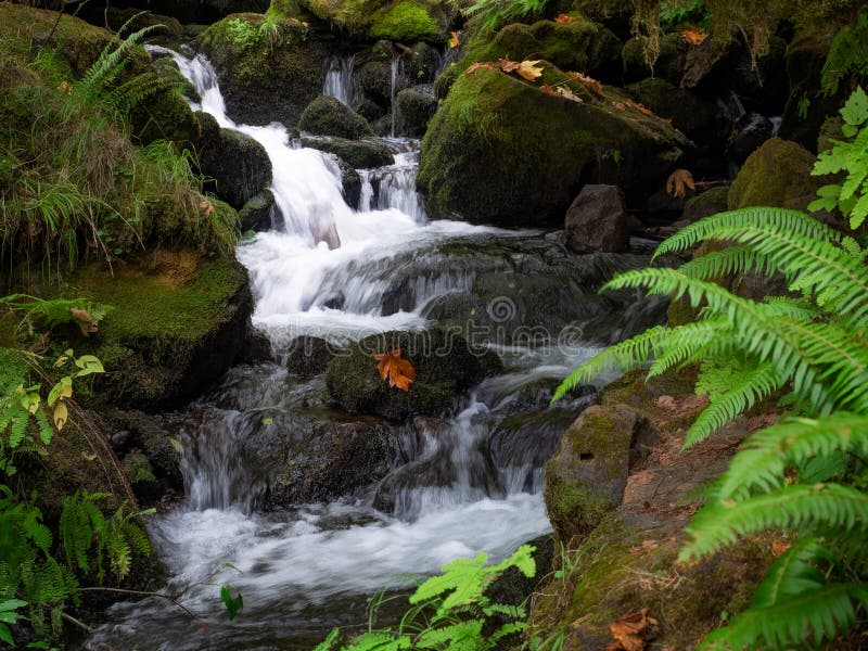 Water Falls Over Basalt Cliff Stock Photo - Image of watson, basalt ...
