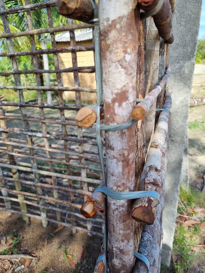 Wattle and Daub Construction Stock Image - Image of building, rural ...