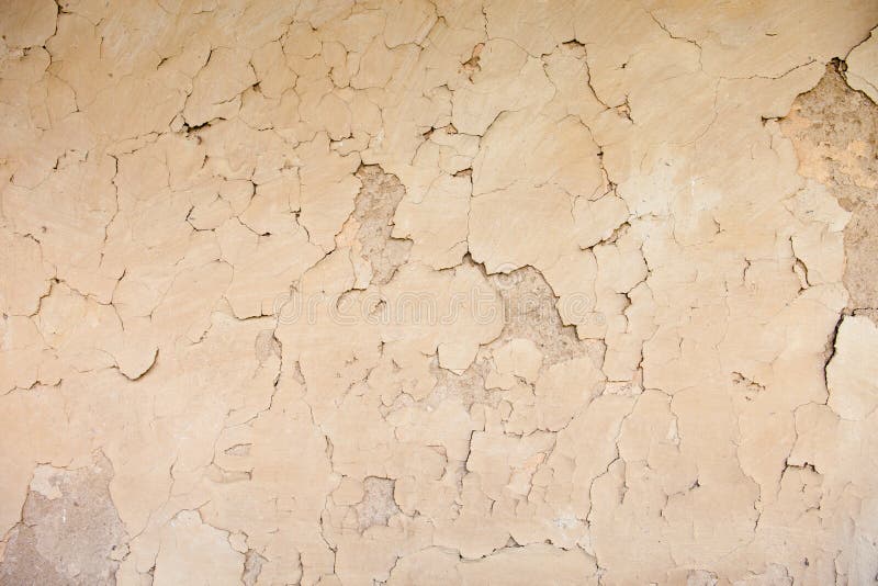 135 Wattle Daub Wall Texture Stock Photos - Free & Royalty-Free Stock ...